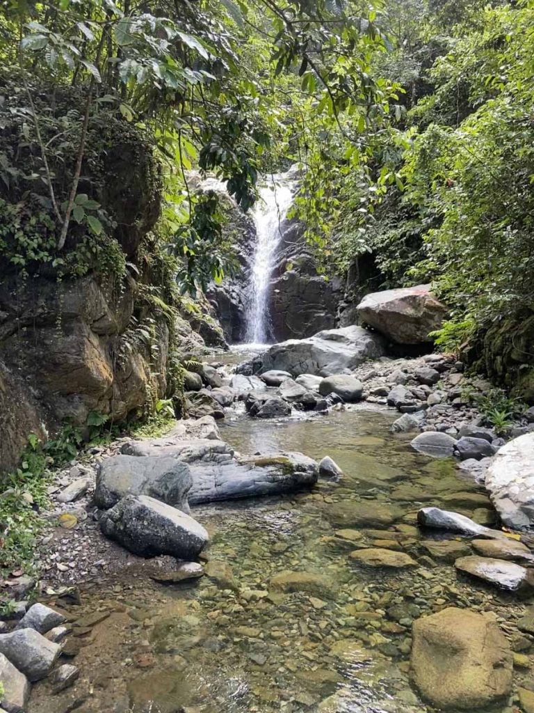 Hiking Jurutungo, Ponce – Veredas de mi Tierra